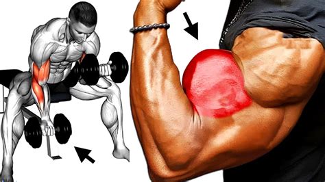 Full Bigger Bicep Workout To Grow Biceps Peak YouTube
