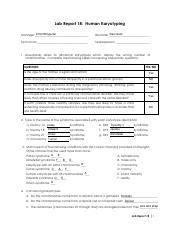 Understanding Human Karyotyping A Comprehensive Study Course Hero