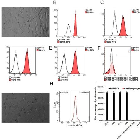 Cell Viability Assay A D Cell Cycle Assay E H Groups Of Cells