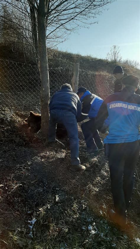 Peste 9 000 de misiuni desfășurate de jandarmii vrânceni în anul 2023