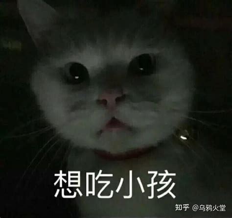 月光光心慌慌起底万圣节面具杀手你不了解的麦克尔麦尔斯 知乎
