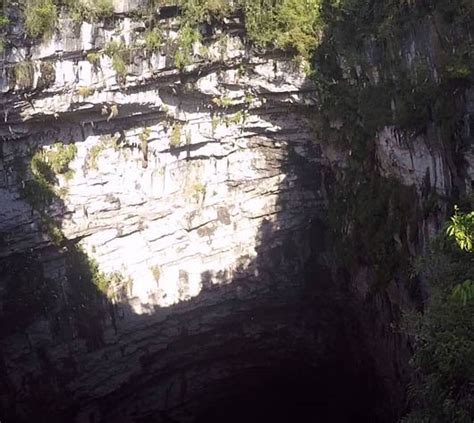 El sótano de las golondrinas