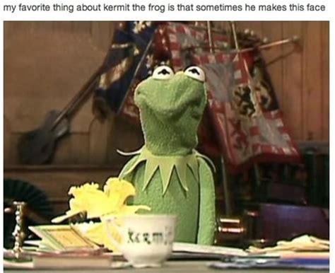 Funny Pictures Of The Day 44 Pics Kermit Writing Humor Kermit The