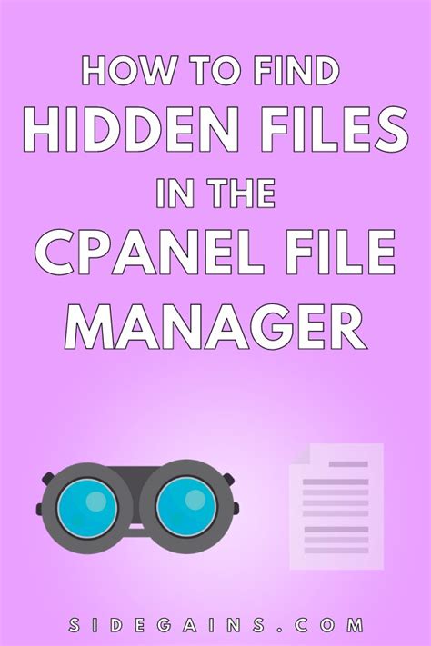 How To Use The Cpanel File Manager To Show Hidden Files