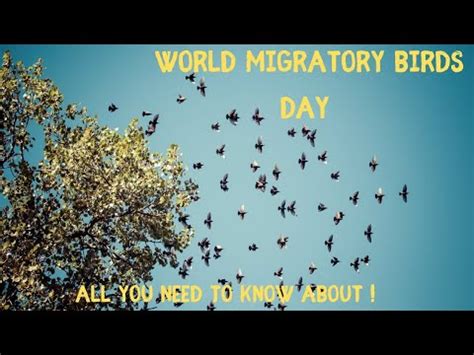 World Migratory Birds Day Trending Education Awareness Daily Upsc