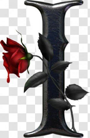 Blackletter Typeface Gothic Alphabet Font Calligraphy English