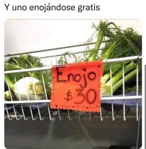 Memes de Hinojo en español Pintzap
