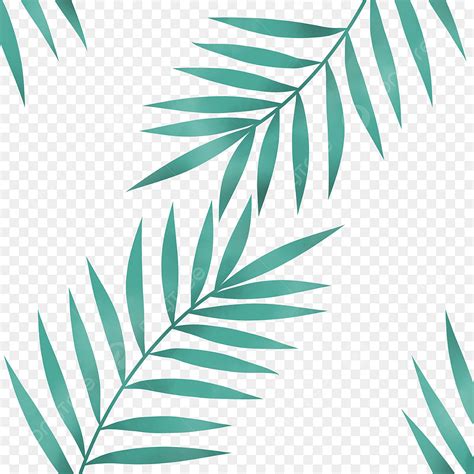 Folhas De Palmeira Verde PNG Verde Palma Tosca Imagem PNG E PSD