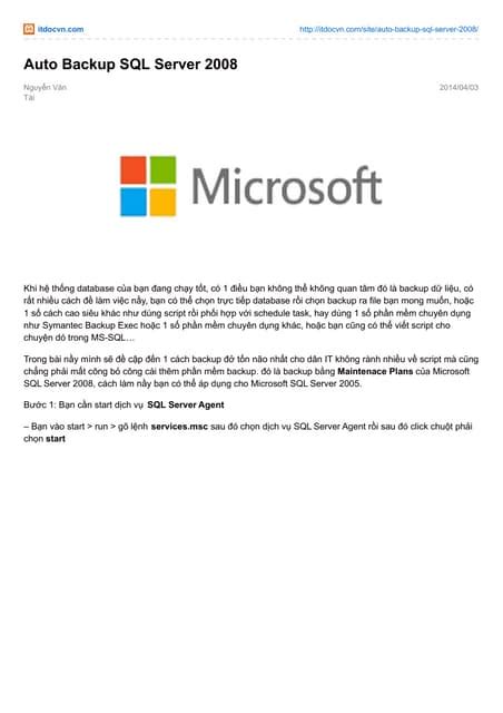 auto backup sql server 2008 pdf