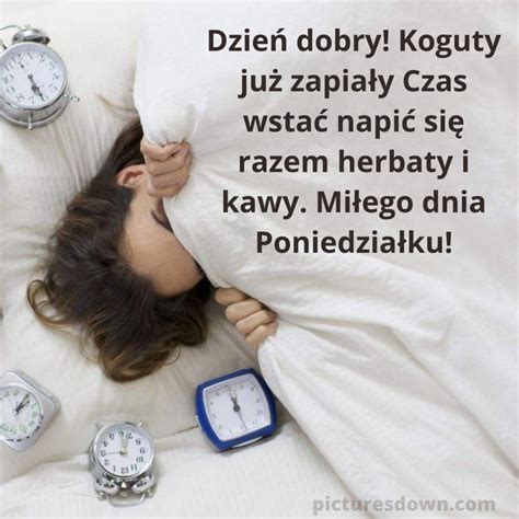 Kartka dzień dobry w poniedziałek śmieszne budziki