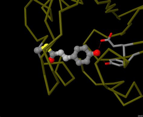 PDB 101 Learn Exploring The Structural Biology Of Bioenergy
