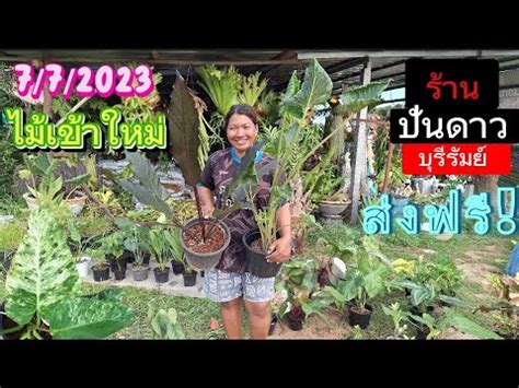 0888582799เศรยรนาคราช ใหญกวานมอกไหม รวมไมเขาใหมวนศกร สง