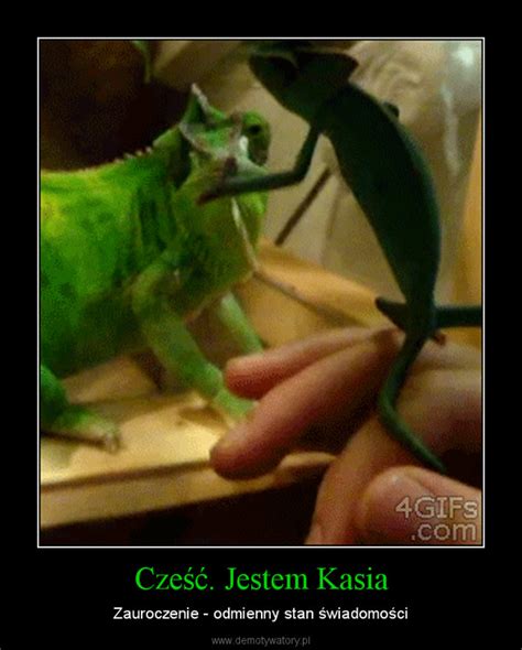 Cześć Jestem Kasia Demotywatory pl
