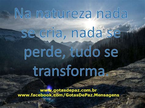 Na Natureza Nada Se Cria Tudo Se Copia FDPLEARN