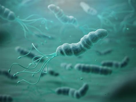 Resistant Strains Of Helicobacter Pylori Across Europe Associated With