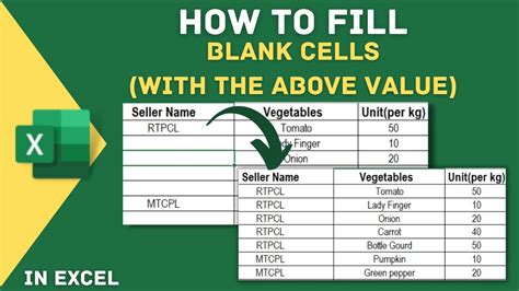 How To Fill Blank Cells In Excel With Value From Above Youtube