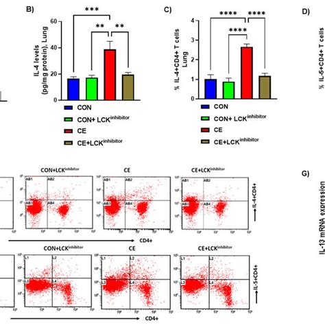 A IL 4 MRNA Expression In Lung Tissue B IL 4 Protein Levels In The