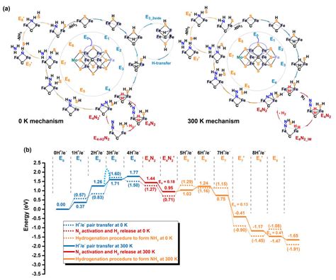 The Whole Catalytic Cycle Of Nitrogen Fixation By Nitrogenase A