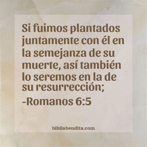 Explicaci N Romanos Si Fuimos Plantados Juntamente Con L En La