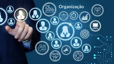 Organização Função Administração Conceitos Objetivos e Princípios