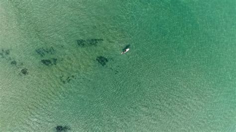 Premium Stock Video Overhead View Of Surfer Lying On His Board In