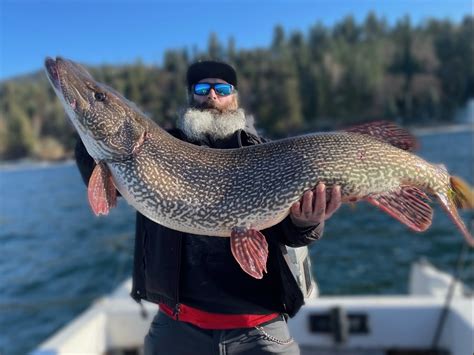 New State Record Northern Pike Caught In North Idaho 40 76 Pounds