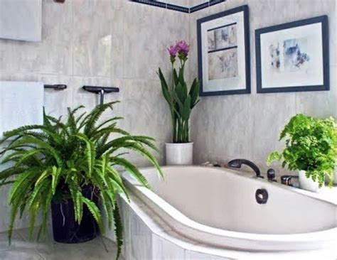 16 Ideas de plantas en el baño para decorar Bathroom plants Teal