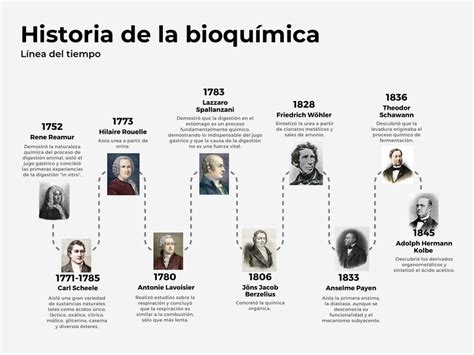 Linea Del Tiempo Bioqu 237 Mica By Angeles Rivera Bank2home