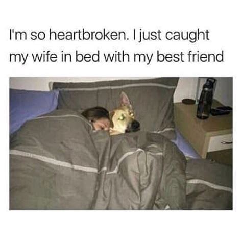 Im So Heartbroken I Just Caught My Wife In Bed With My Best Friend Funny