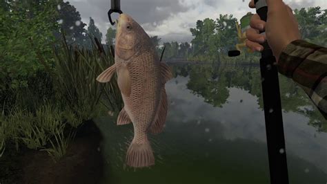 Fishing Planet How To Catch FreshWater Drum On Mud Water River Trophy