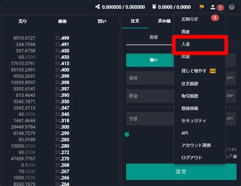 Ripple Xrp