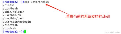 linux系统shell脚本 编程规范和变量详细解读（一） linux的shell脚本编程 csdn博客