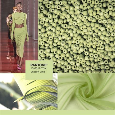 Tendencia De Cores Verao Image To U