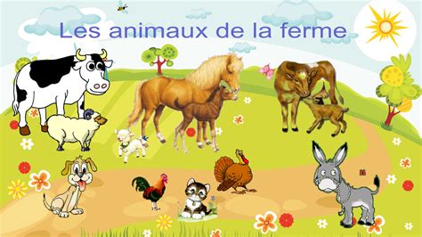 Les Animaux De La Ferme Animation Noms Sons Verbes UNE TASSE DE FLE