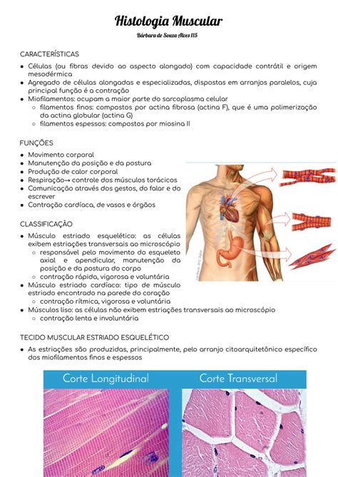 SOLUTION Histologia Do Tecido Muscular Studypool