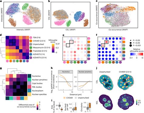 Campa Derived Cell Features Enable Comparisons Of Spatial And Molecular