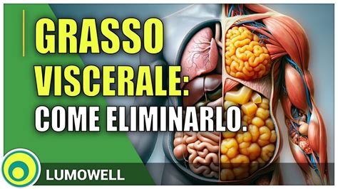Grasso Viscerale Come Eliminarlo YouTube