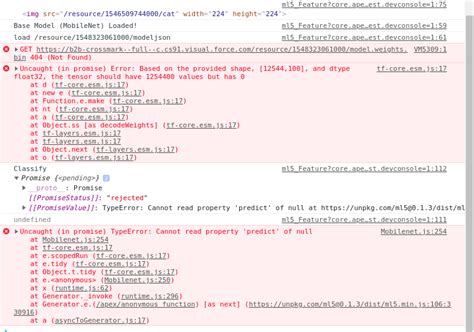 Javascript Error Based On The Provided Shape 12544 100 And Dtype