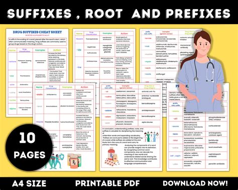 Pharmacology Prefix Suffix Study Guide Drug Suffixes Cheat Sheets 80