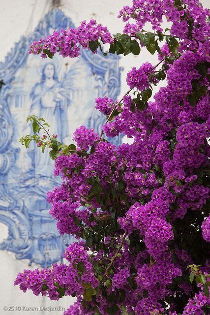 Purple Flowers In Front Of A Blue And White Wall
