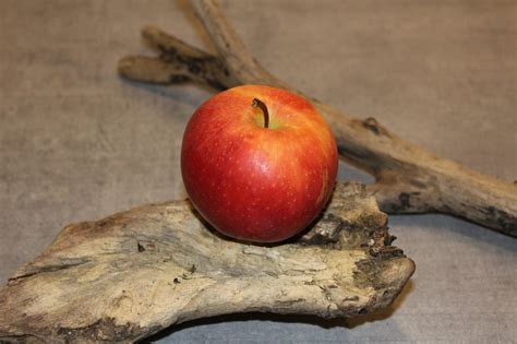 Fruta Manzana Comida Foto Gratis En Pixabay Pixabay