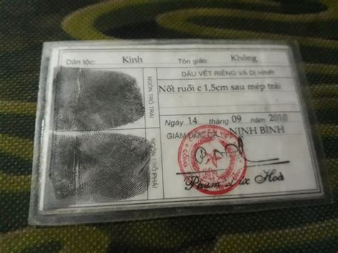Ghim của Ha Phuong Nguyen trên Mô hình Mô hình
