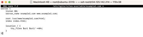 How To Set Up Nginx Server Blocks On Ubuntu 23 10 Devtutorial