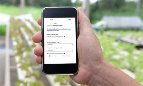 Prazo para emissão do Certificado de Cadastro de Imóvel Rural começa