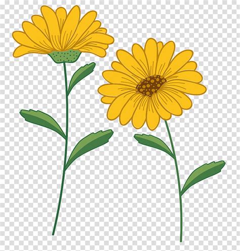 Flowers Microsoft PowerPoint Creative Work Diplom Ishi Graduation