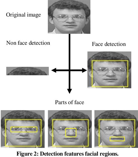 figure 1 from face recognition based on dwt feature for cnn semantic scholar