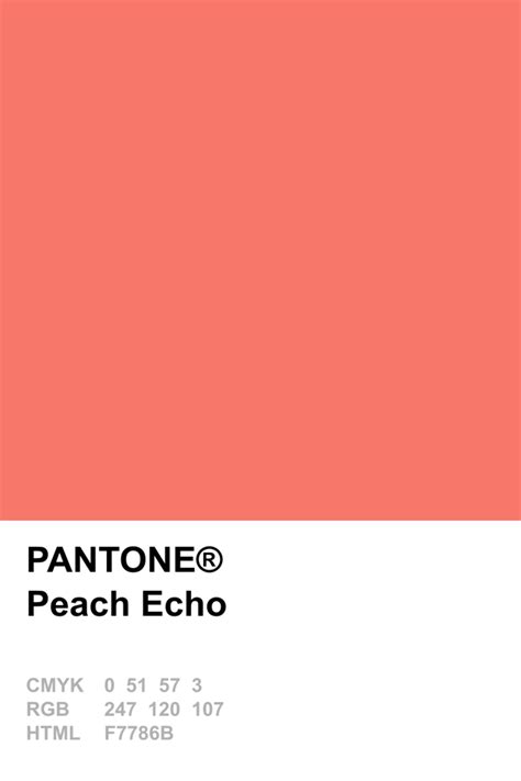 Peach Color Code Name Official color names 색표 색깔 색 이름 Html