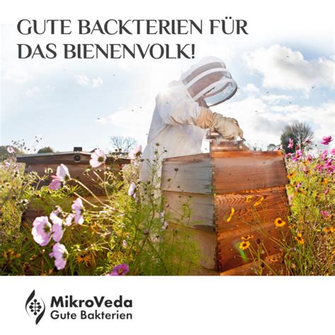 Mitosana MikroVeda CARE APIS Beuten Und Bienenpflege 1 Liter R PET