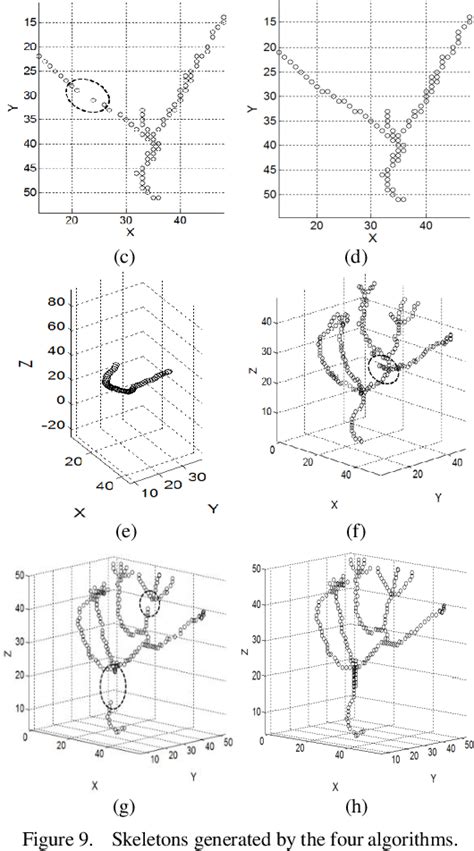 figure 6 from a 3d model skeleton correcting algorithm using templates of inspecting voxel