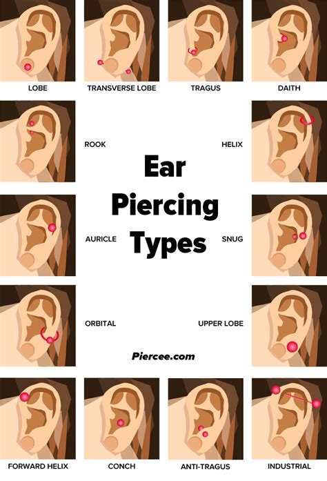 Sale Which Ear To Pierce If Straight In Stock